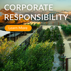 ARE > OUR BUSINESS VERTICALS > Business Verticals